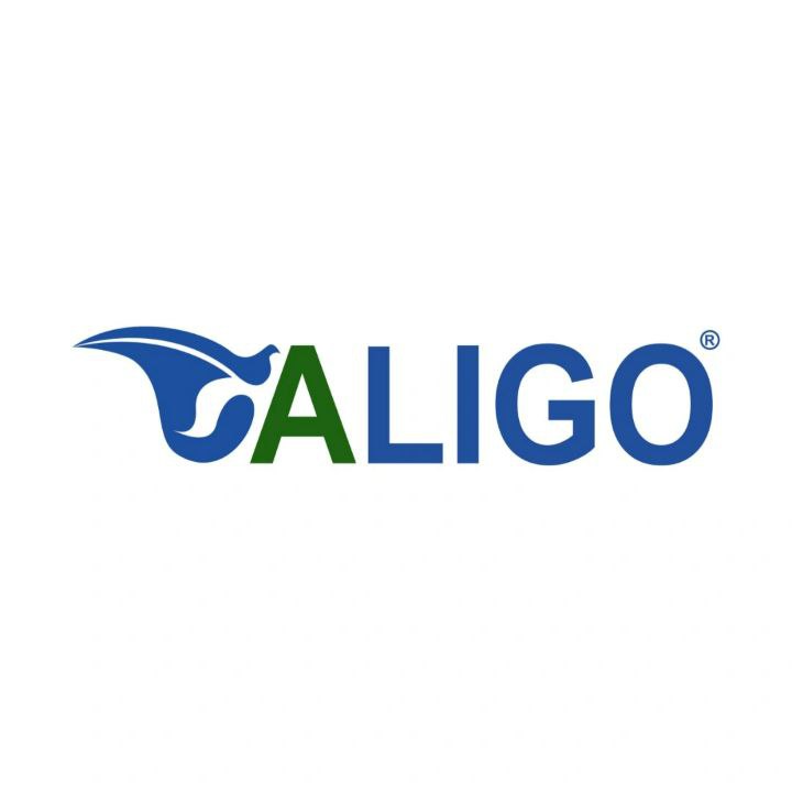 ALIGO CO., LTD. - WORKINGNA